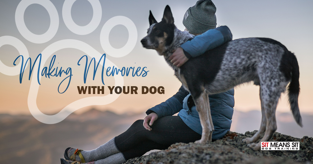 Tips for Making Lasting Memories With Your Dog - SMS Albuquerque